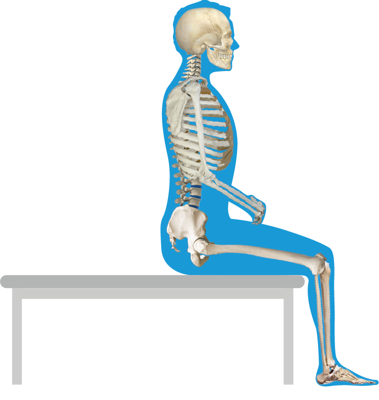 Performing the mat evaluation: Palpating bony landmarks