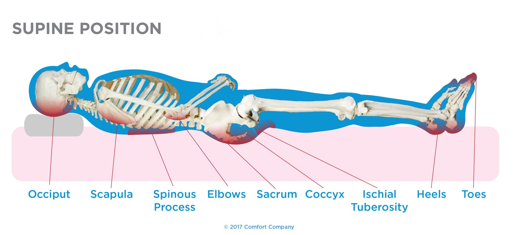 The Wheelchair Evaluation: The “Atypical” Physical Assessment