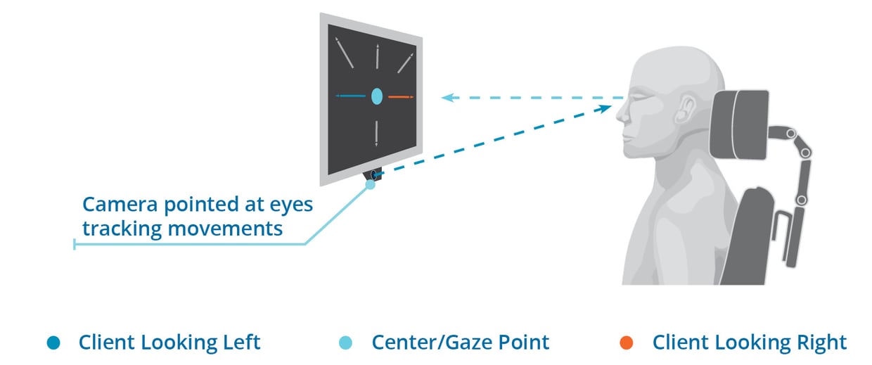 Alternative Drive Controls: Single Switch Scanning and Eye Gaze