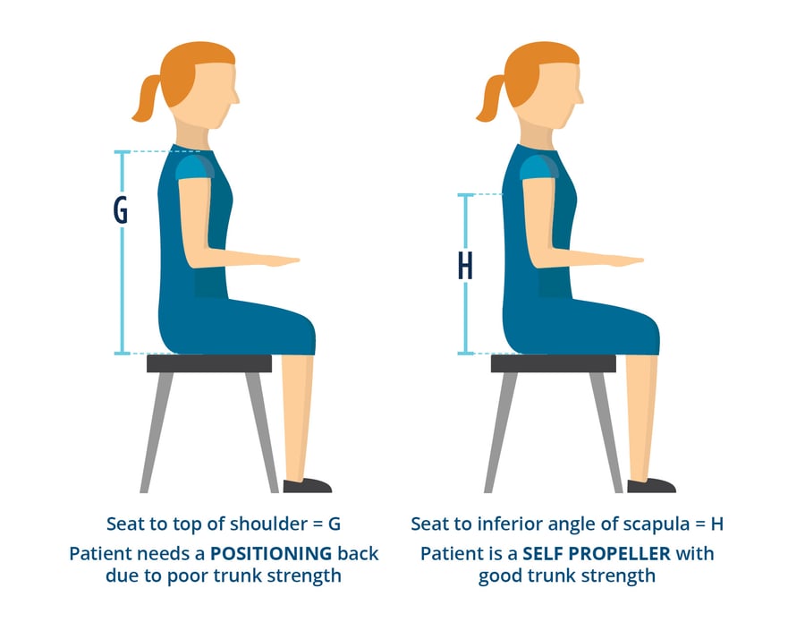 Wheeled Mobility 101 Pillar Page